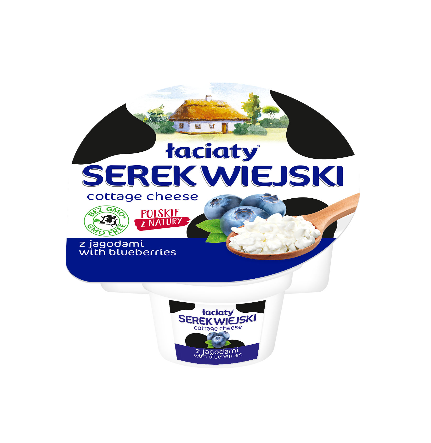 Łaciaty cottage cheese with blueberries – Mlekpol